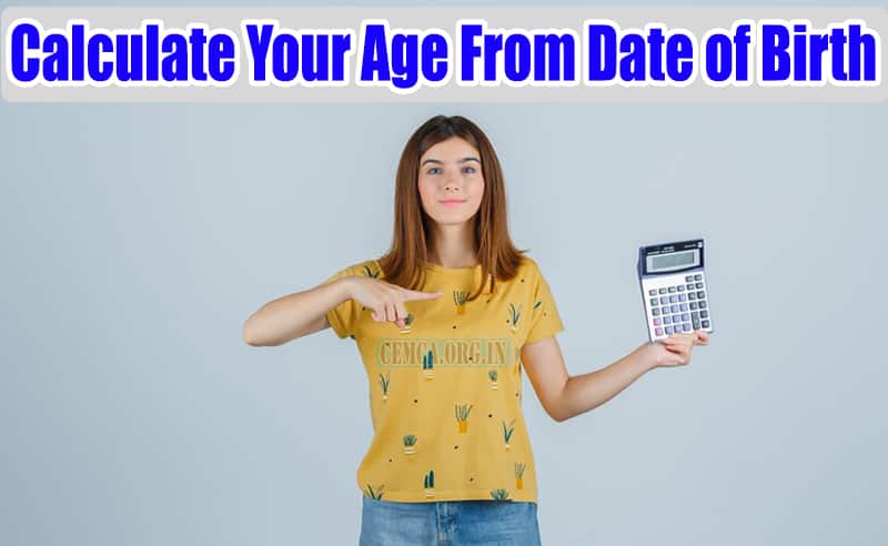 Age Calculator Tool Online Calculate Your Age From Date of Birth (DOB) 2025