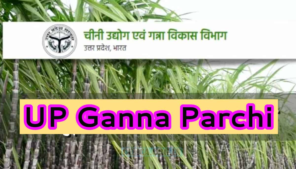 UP Ganna Parchi 2025 Calendar, Rate, Status Check @ caneup.in